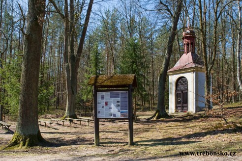 Třeboň a Třeboňsko - ubytování, lázně, rybaření, cykloturistika ...